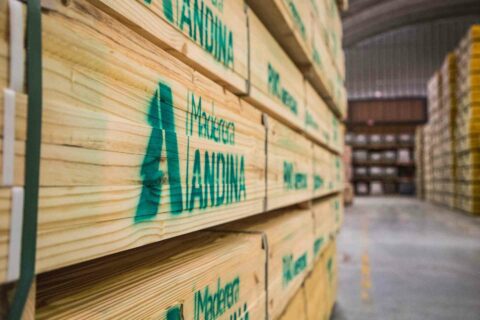 Maderera Andina | ¡La historia de Maderera Andina!